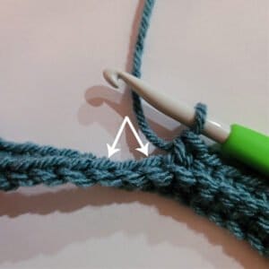 Diagonal Ripple Lapghan - Free Crochet Blanket Pattern - A Crocheted ...