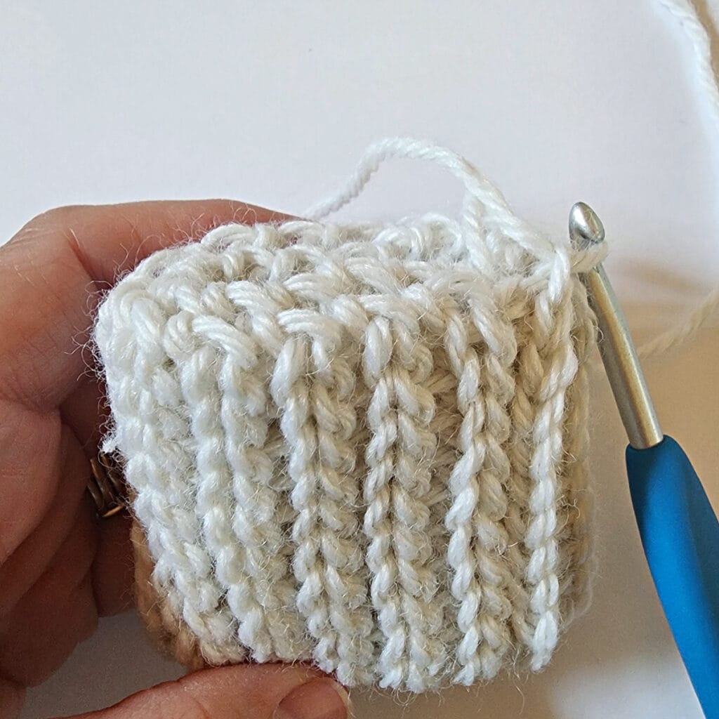Cable Crochet Mittens - A Crocheted Simplicity